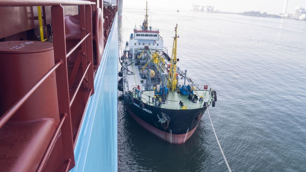 Policies and Positions | Sustainability and ESG | Maersk