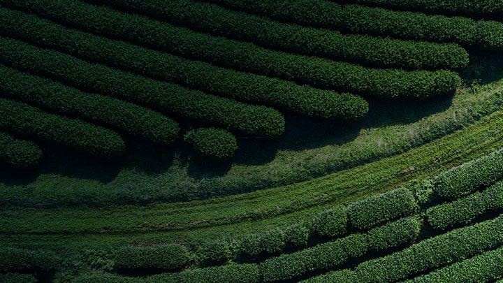 Supplier Code of Conduct | Sustainability | Maersk