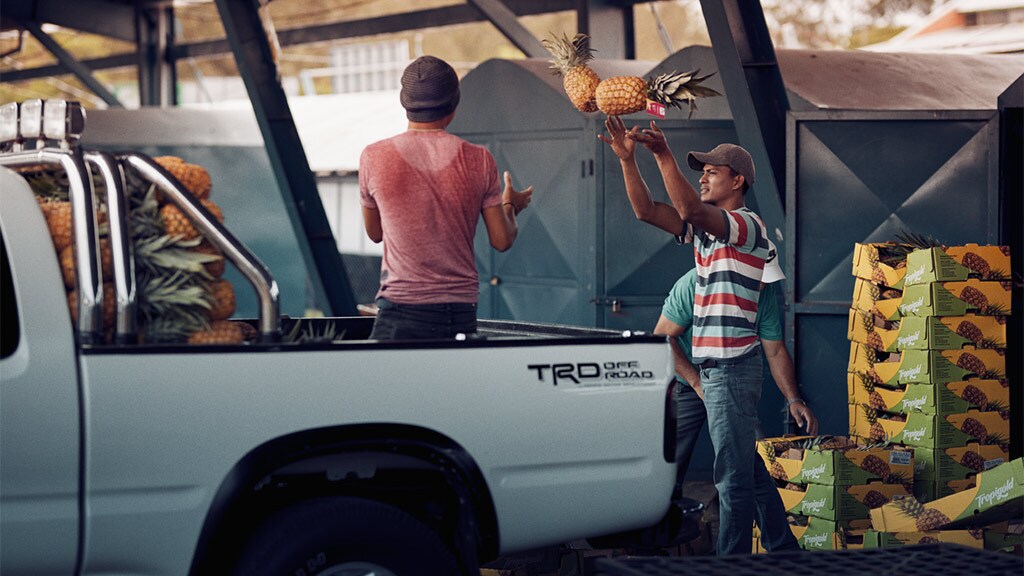 Can logistics packaging support perishable goods and their value chains ...