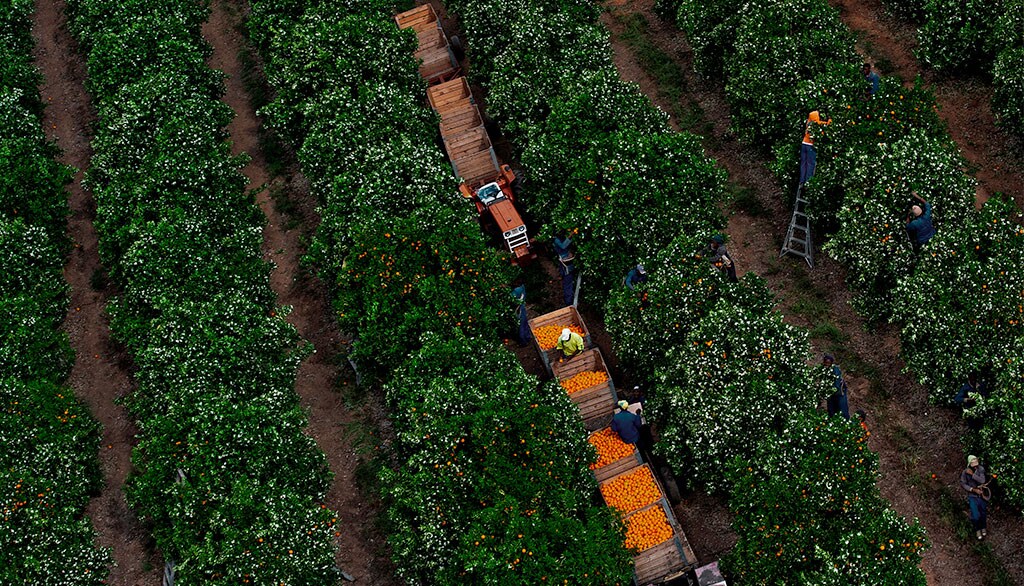 Progress 2018: Contribute to halving food loss | Maersk