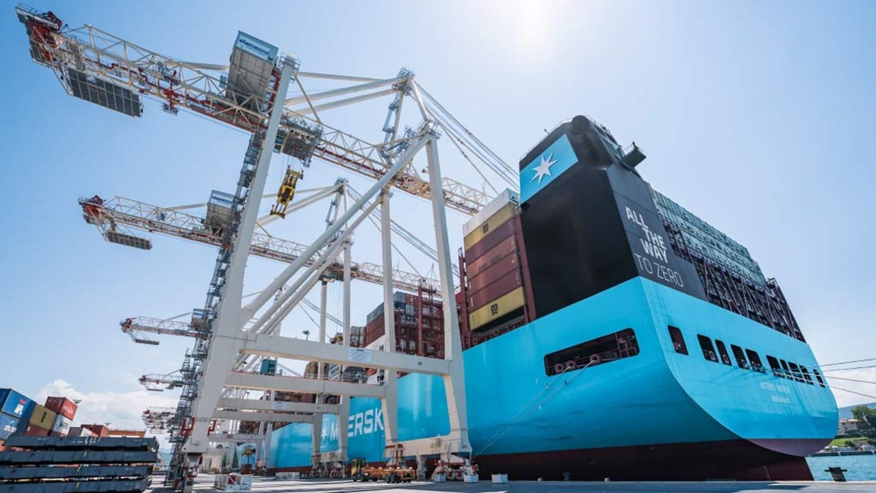 Growing with resilience: Visit us at Fruit Logistica 2026 | Maersk