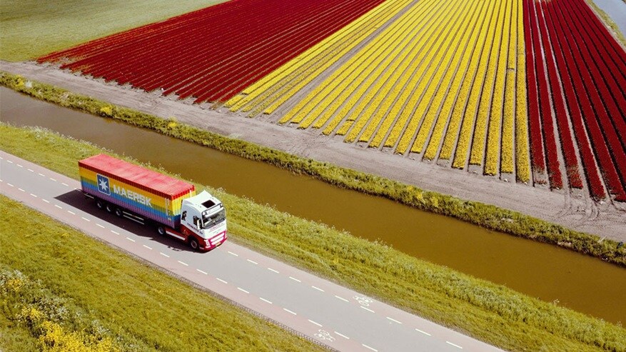 Rainbow containers welcomed in Europe