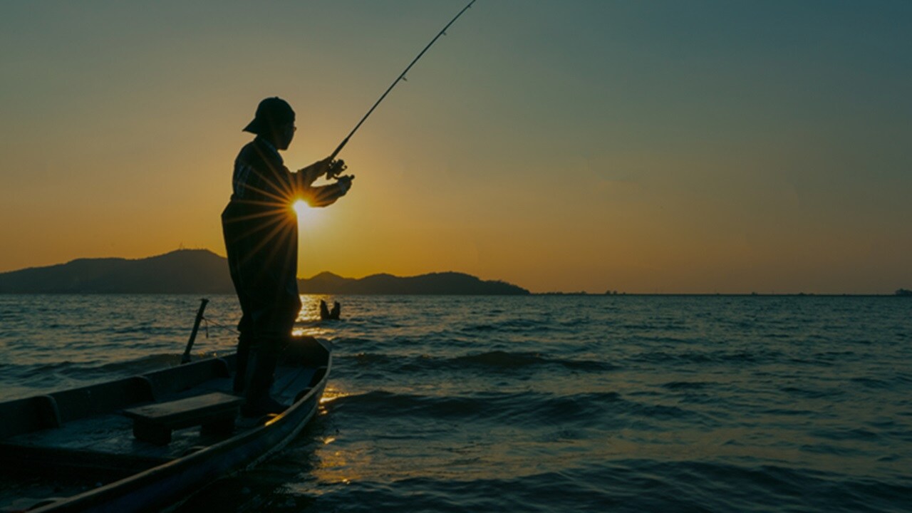 Refrigerated shipping solutions for fresh produce | Maersk