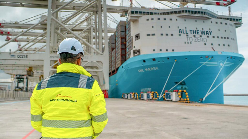 How port hubs will help Maersk and the Gemini Cooperation achieve its ...