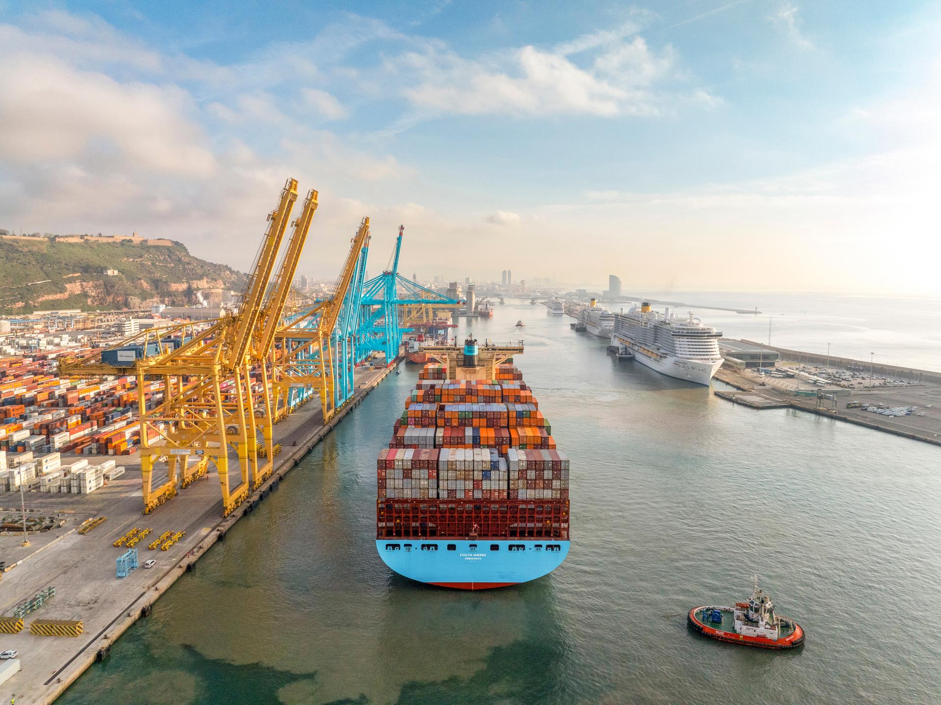 20 Largest Container Shipping Companies Dominating Trade 2025