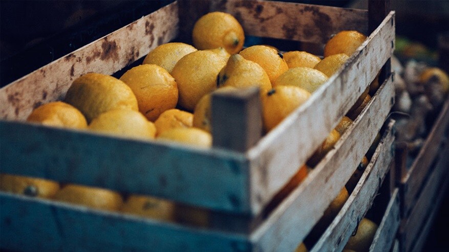Maersk extends cold chain solutions to Pakistan's citrus exporters | Maersk
