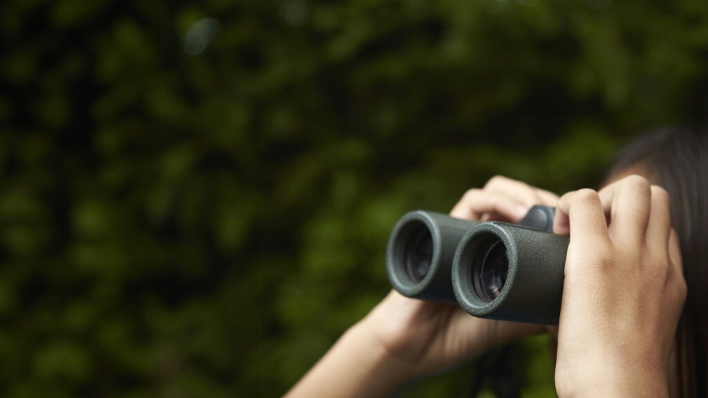 Emissions Studio | Digital services | Maersk