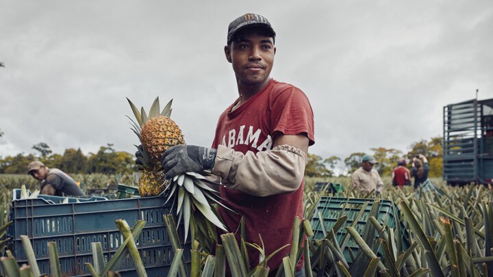 Cold Chain Logistics | Temperature-controlled shipping | Maersk