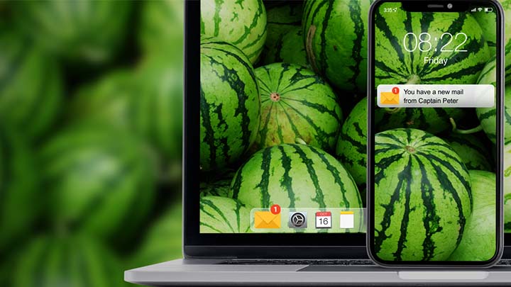 Captain Peter™ | Maersk